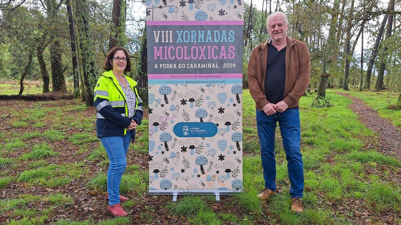 A Pobra prepara un fin de semana dedicado a las setas