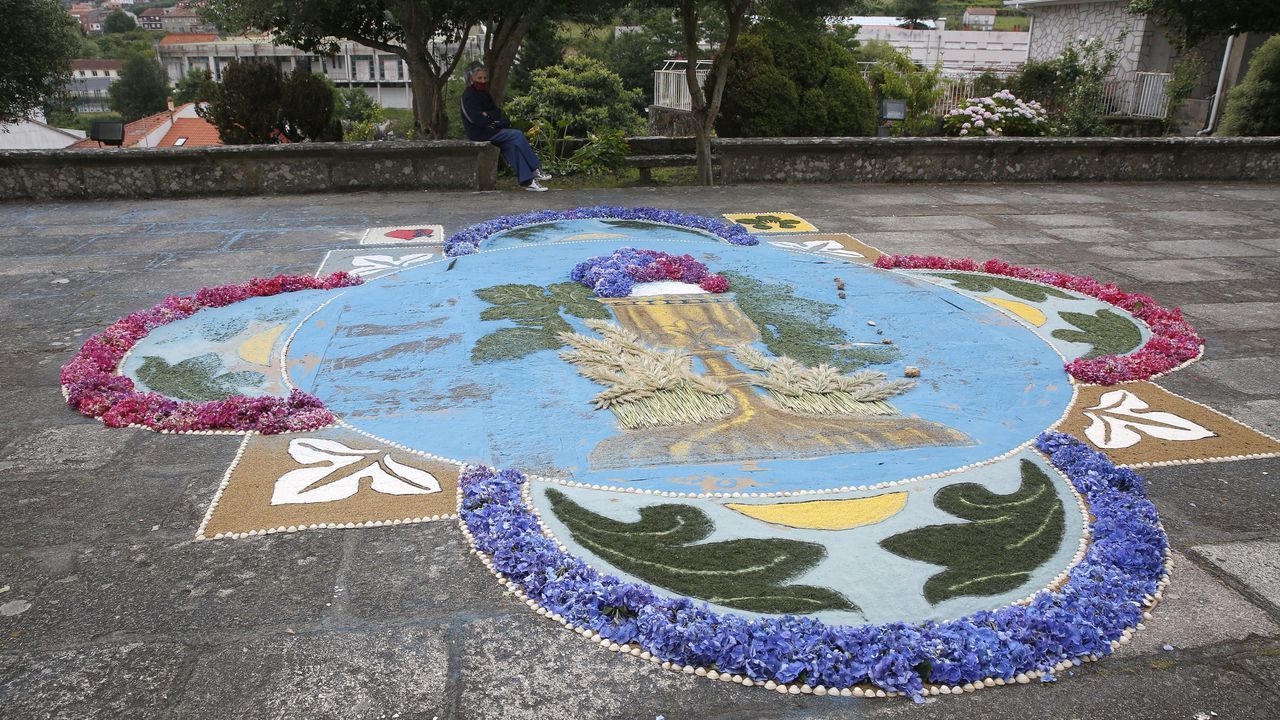 Guerra abierta entre los alfombristas que piden la dimisión de su ...
