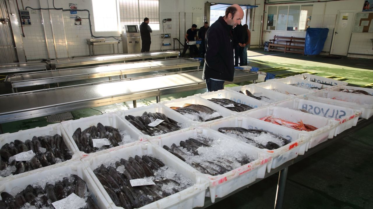 El Gobierno desplegará informes en Bruselas para demostrar que la ...