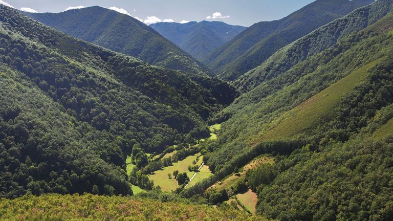 Asturias asegura que Muniellos cuenta con un sistema de protección ...