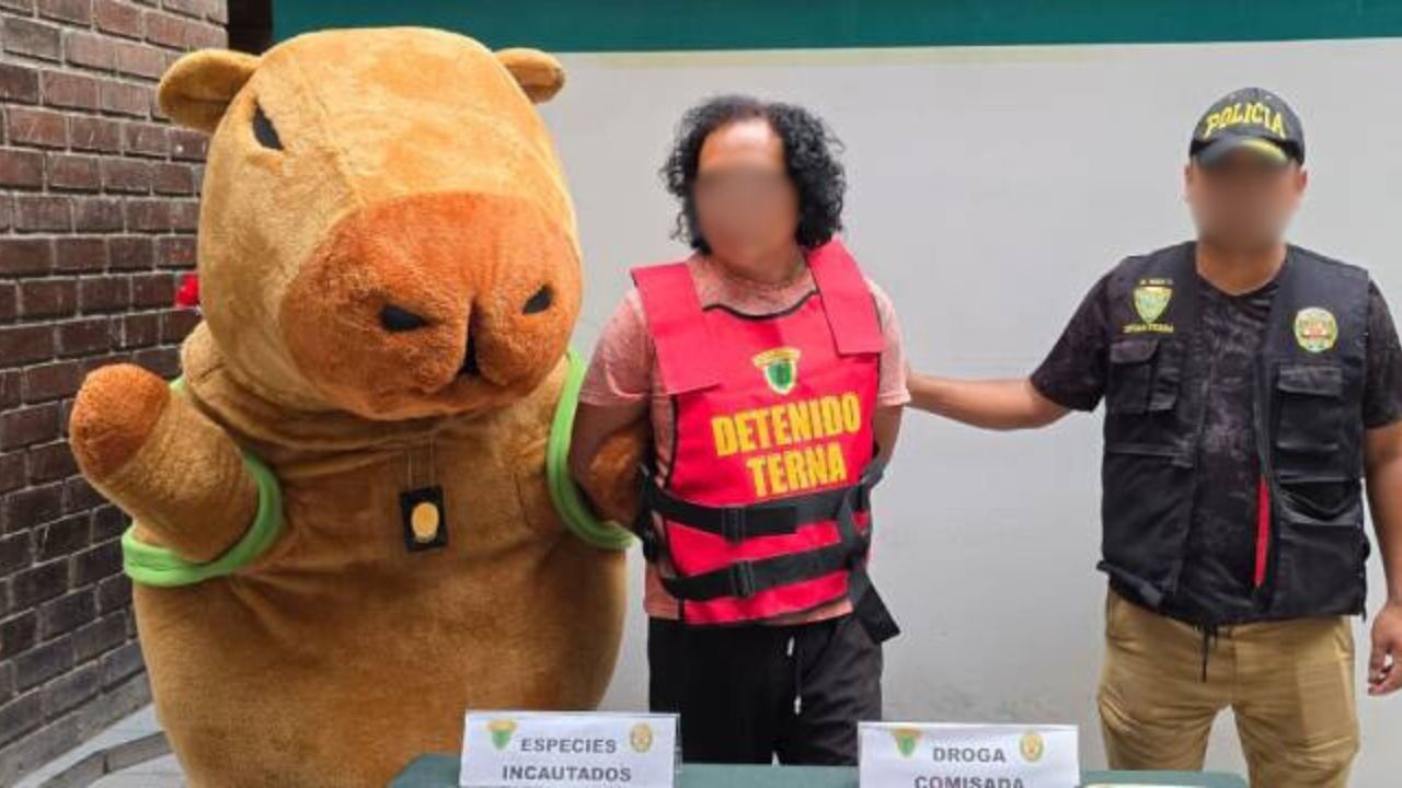 La policía peruana se disfraza de capibara para completar con éxito un ...