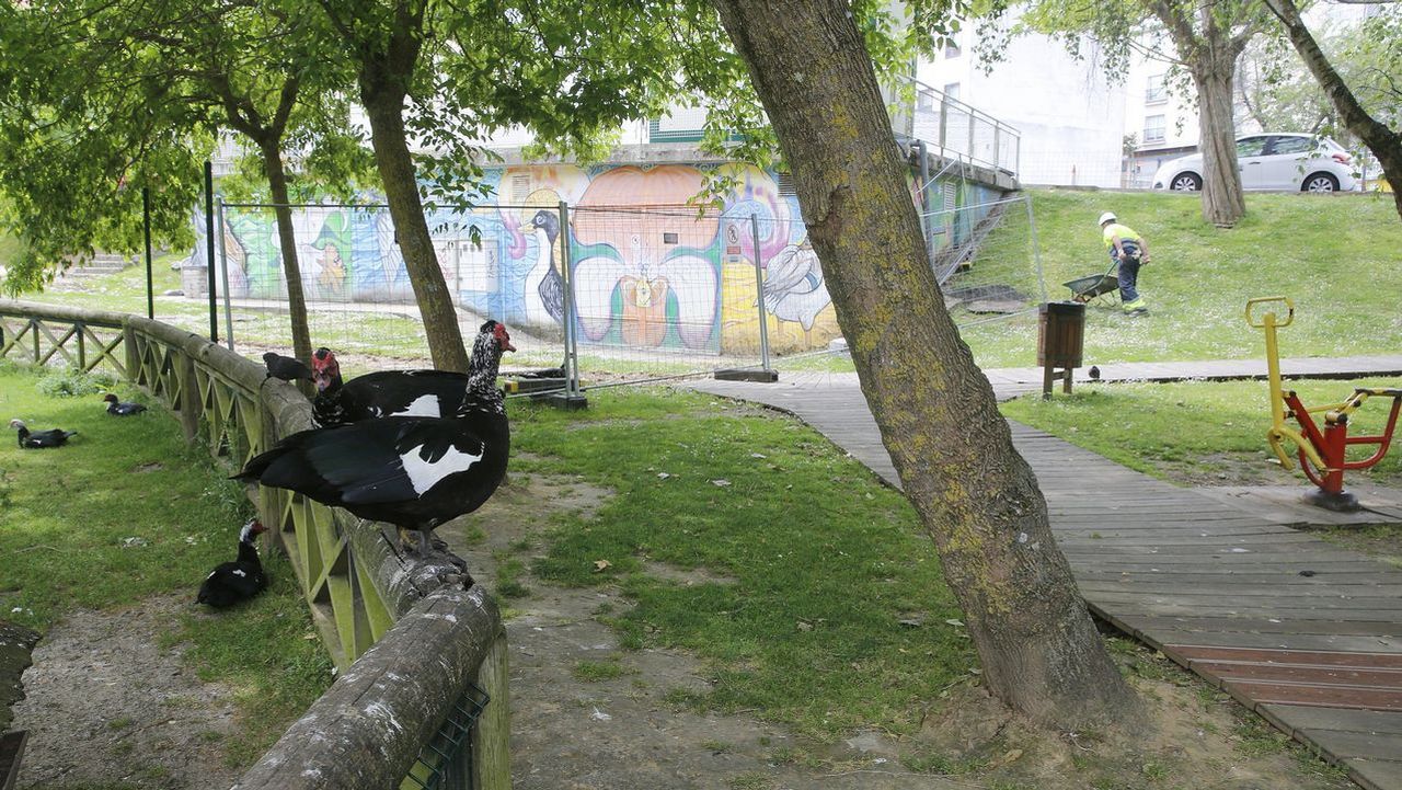 El parque Luis Seoane de Santa Cruz se reabrirá a principios de septiembre