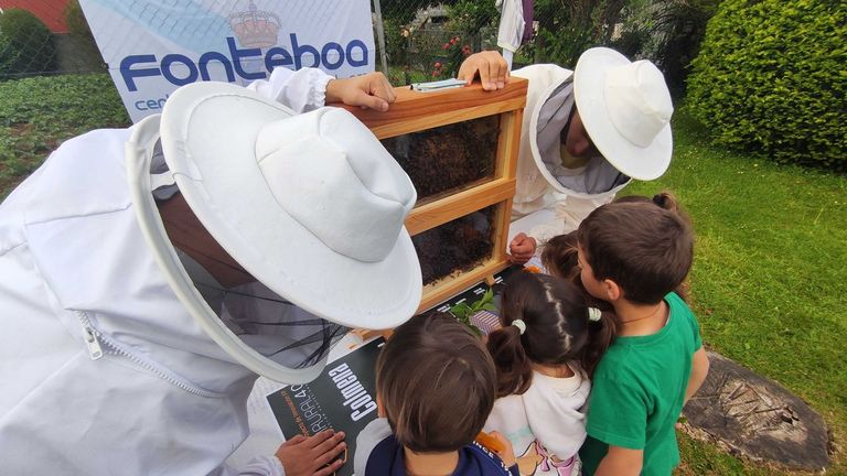 Las abejas, objeto de estudio constante en la EFA Fonteboa, de Coristanco