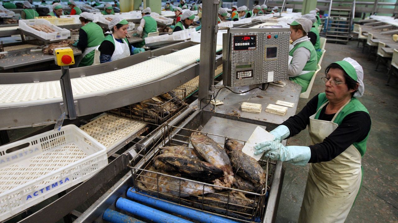 Actemsa pacta el rescate con sus acreedores, amarra la ayuda de ...