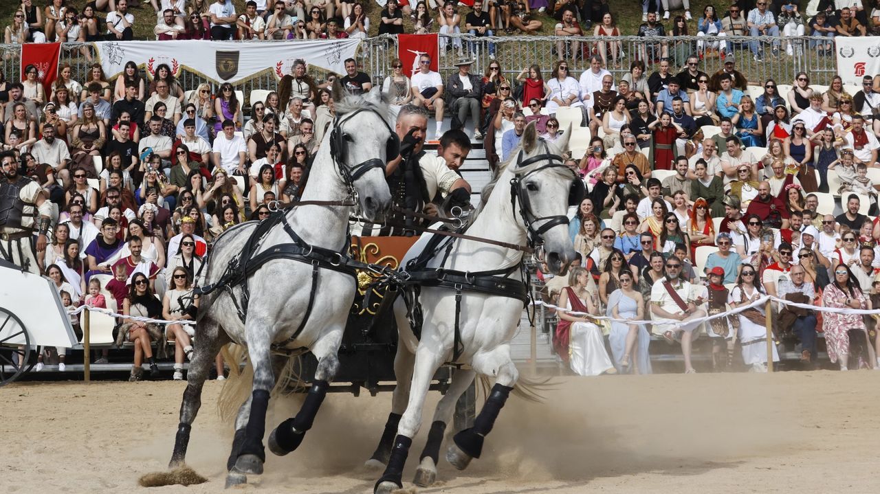 El viernes 12 salen a la venta las entradas para el circo romano del ...