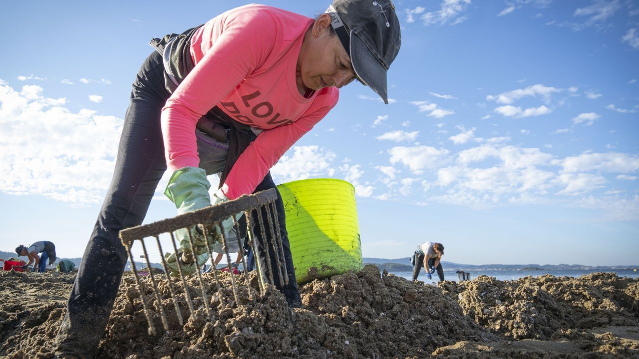 La conserva y el marisqueo, los espacios más feminizados en el sector ...