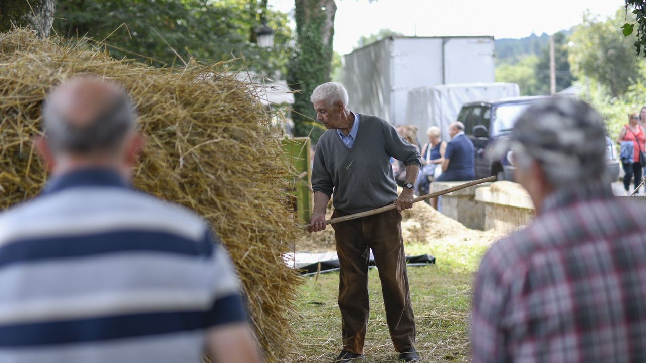 ¿Qué se puede hacer en Lugo el domingo 11?