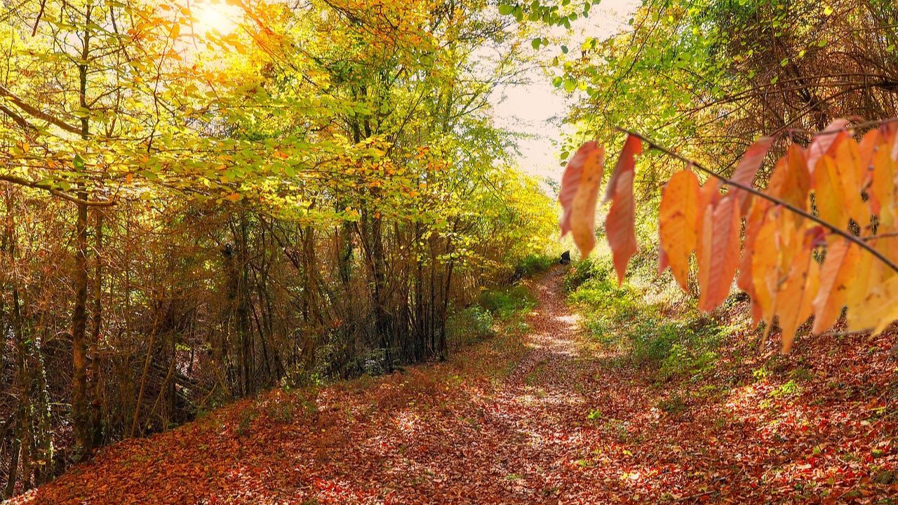 Así será el invierno en Asturias tras un otoño muy cálido y muy seco