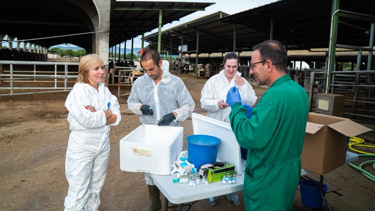 Gerona, de momento la única provincia afectada por la dermatosis ...