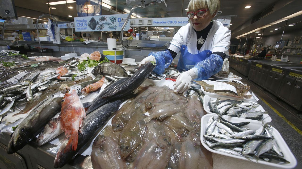 Poco pescado en la plaza, escaso movimiento y bajada de precios