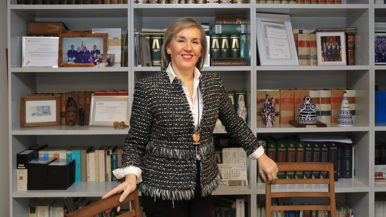 María del Carmen Ferro, vicedecana del Colegio de Abogados de Santiago ...