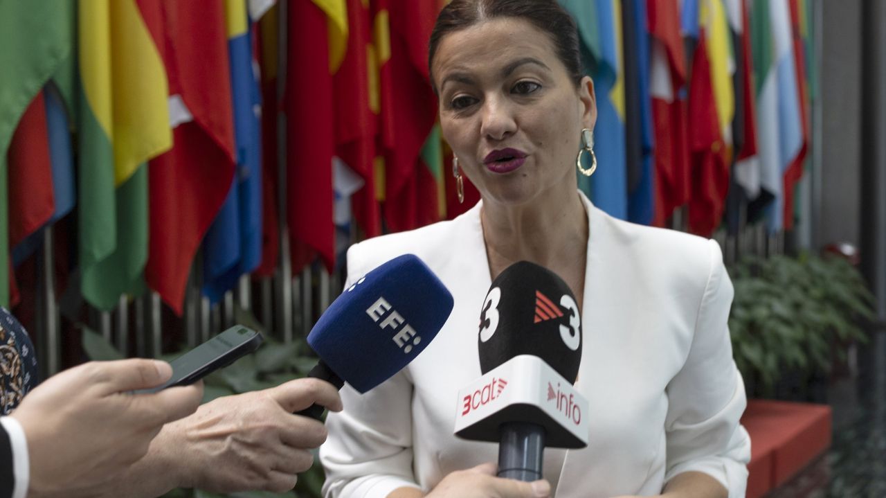 España propone ante la ONU un grupo de trabajo mundial para regular los ...