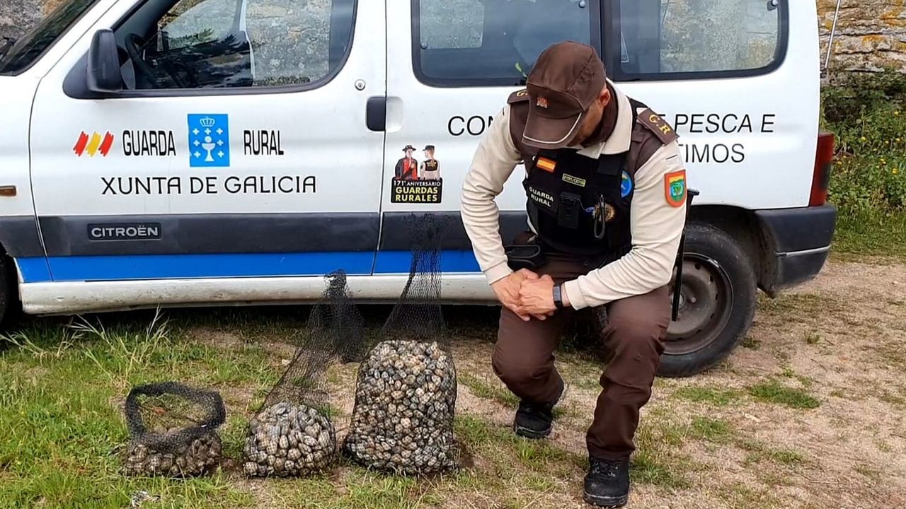 Vigilantes de la cofradía de Cabo de Cruz decomisan 29 kilos de almeja ...
