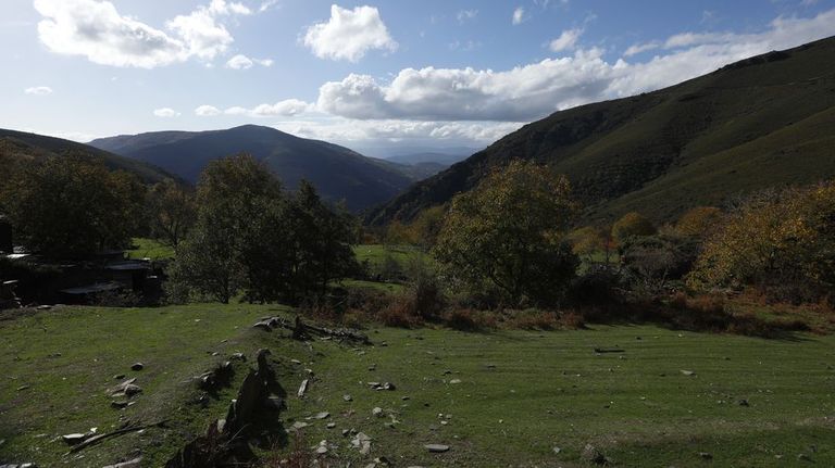 «As Bestas», la historia real del crimen de Petín que ha arrasado en ...