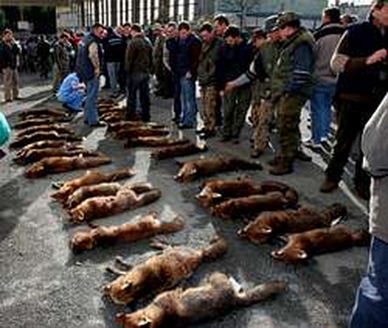 Hombres de aquí, «jolpes» de allá