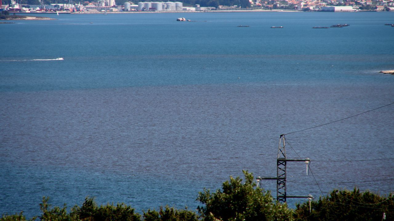 ¿Un mar de ardora en la ría de Arousa?