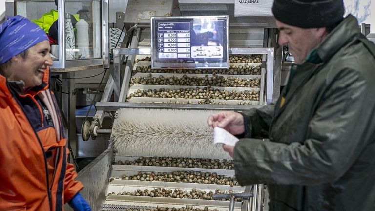 Noia pecha o marisqueo dous meses con 4,2 millóns de euros facturados