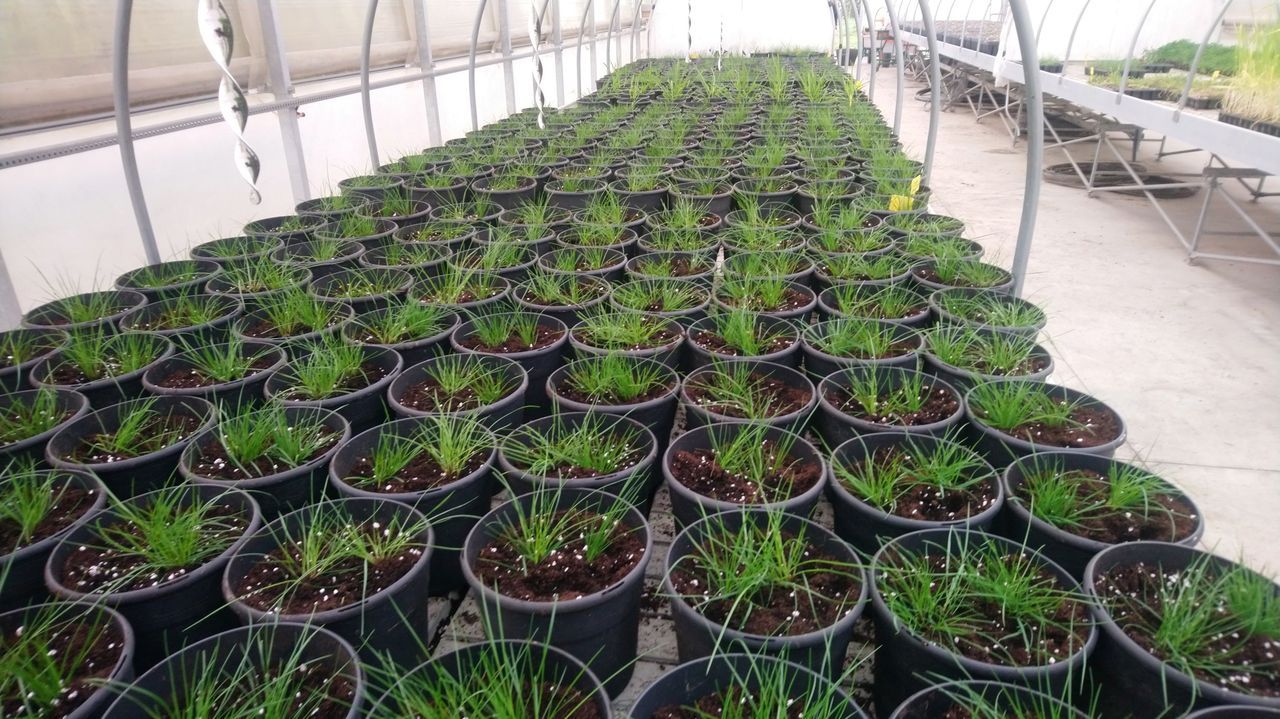 Agacal inició 16 proyectos europeos en 5 años, ligados a sectores clave ...