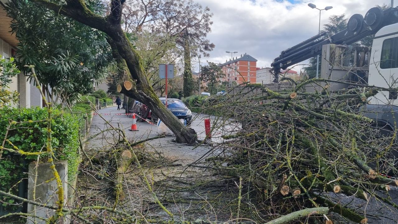 El temporal Martinho provoca decenas de incidencias en Ourense, con ...