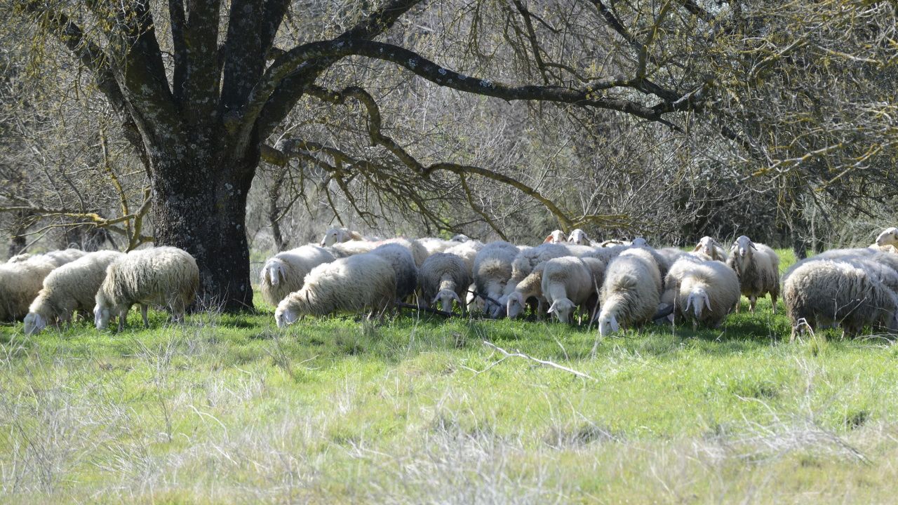 Ellos comercializan directamente su producción para que el consumidor ...