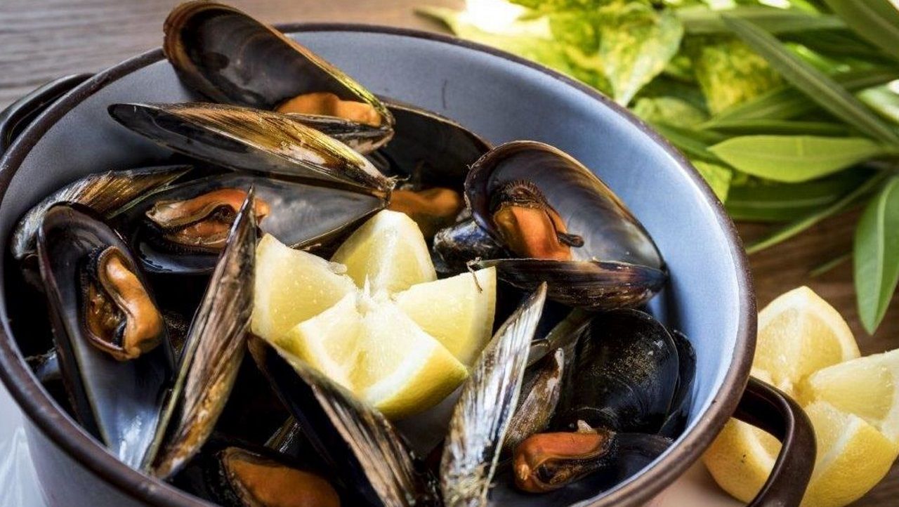 Las razones por las que el mejillón es el cultivo ideal para erradicar ...