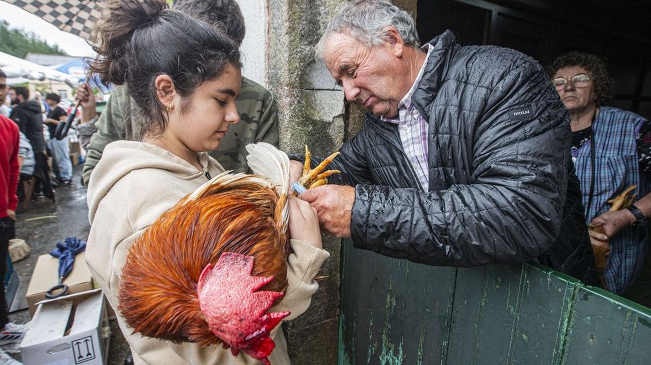 A Piña, en Carballo, también mantiene tirón y tradición de San Adrián