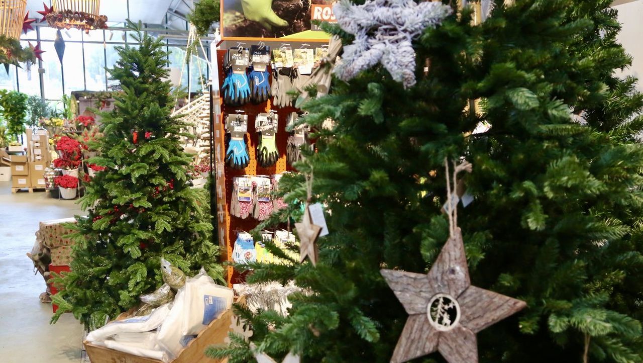 ¿Aún se venden los árboles de Navidad naturales?