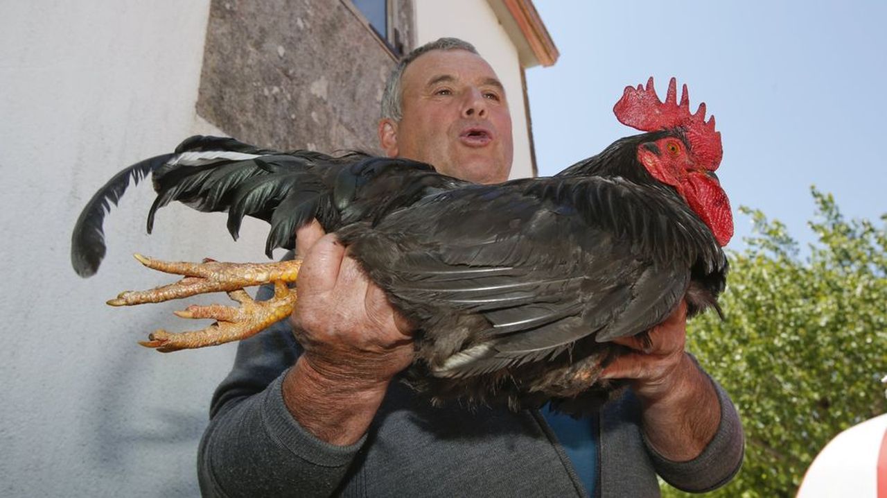 Novenas en los santuarios de A Piña y A Agualada