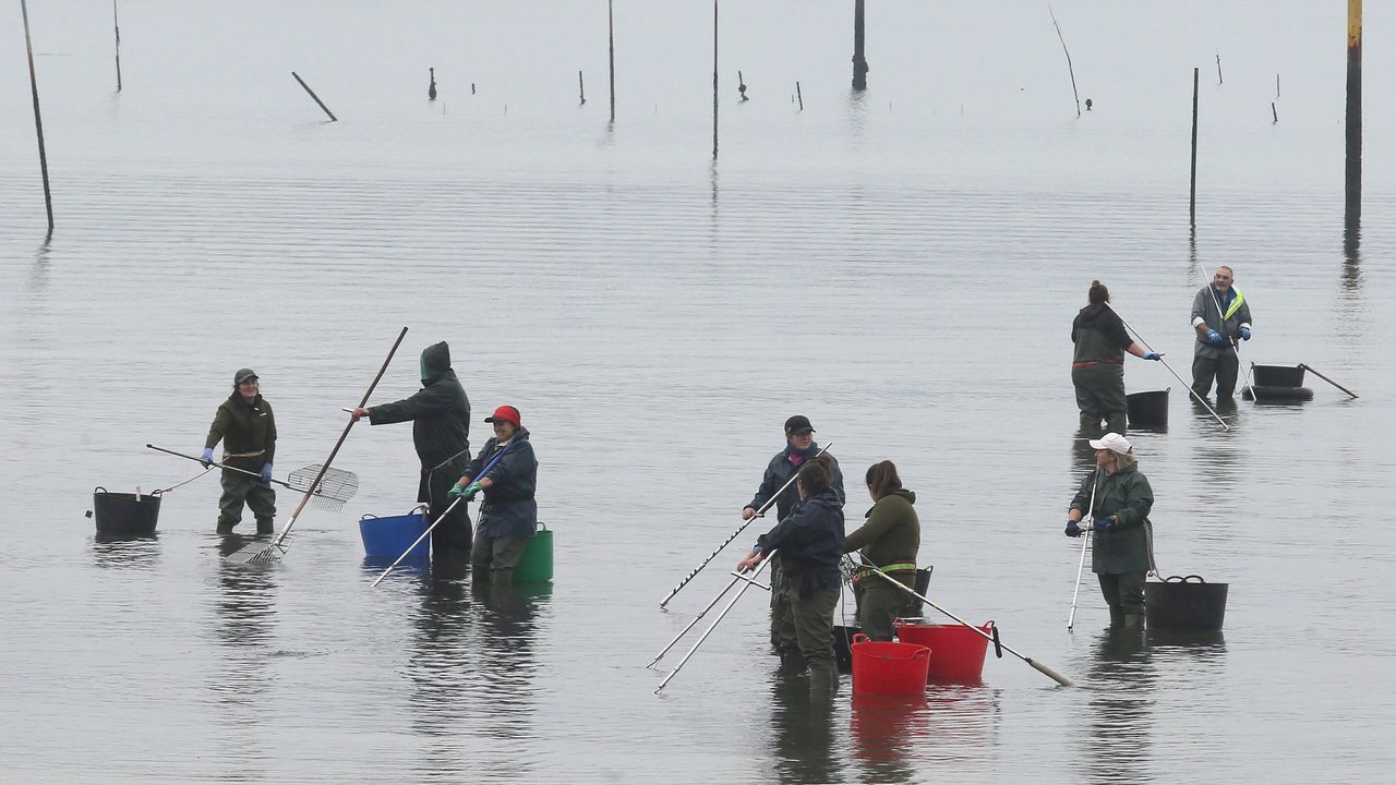 Las cofradías acusan a Mulleres Salgadas de crear división en el sector ...
