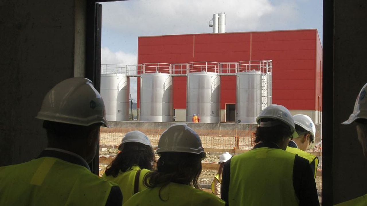 Aceite de microalgas de la china ATK para producir omega-3 en As Somozas