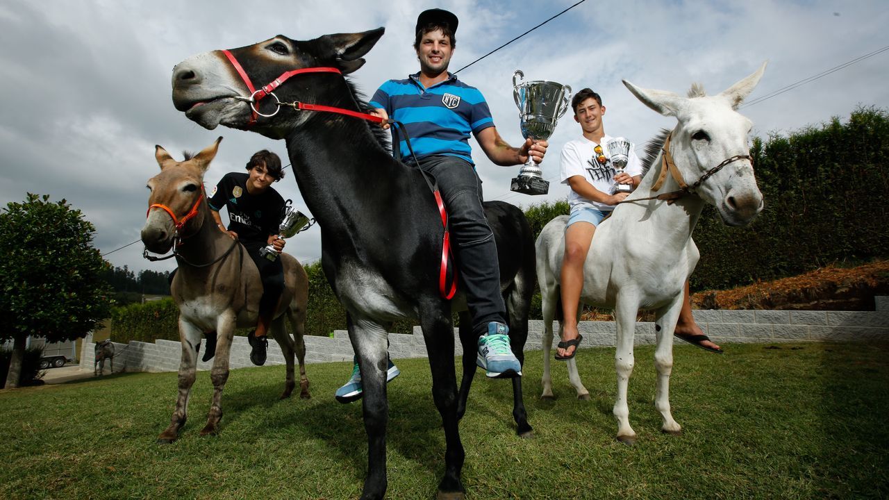 Este negocio es una «burrada»