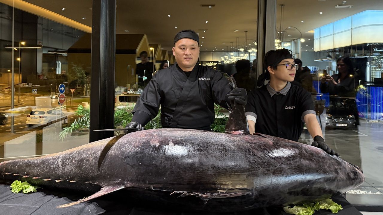 El espectáculo del despiece tradicional de un atún de 170 kilos en el ...