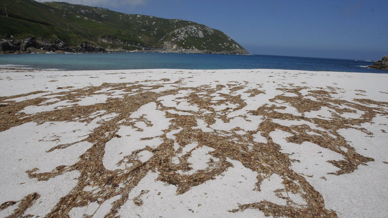La actriz Neus Asensi vende su chalé en Barizo, Malpica, por 195.000 euros