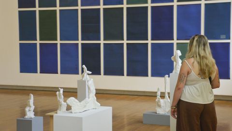 O CGAC abre a mostra «Illa ignorada» e unha instalación de Misha Bies Golas