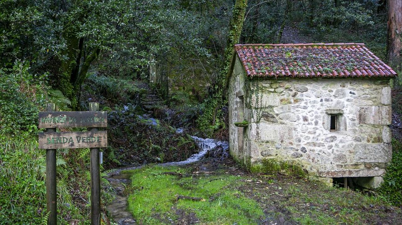 Ruta de Albeida, un paseo idílico entre antiguos molinos animado por el ...