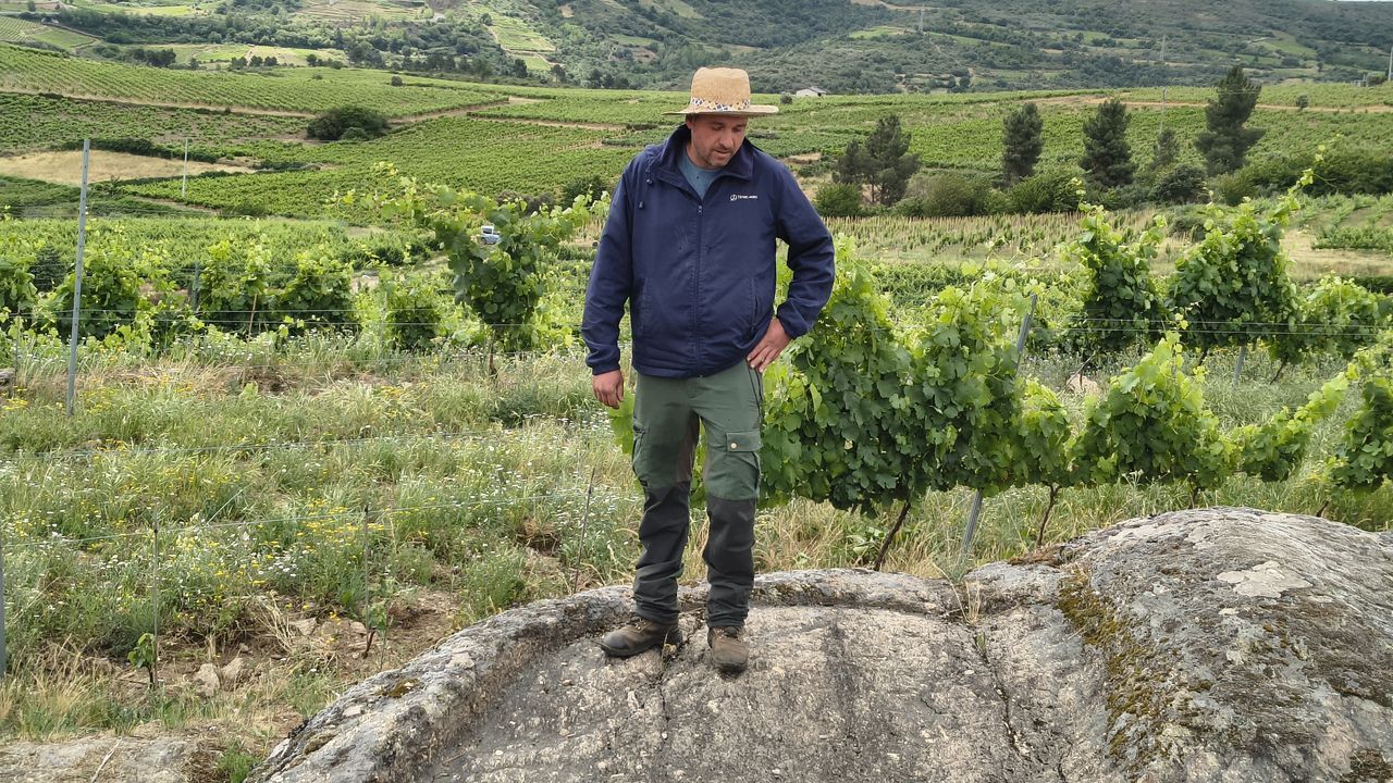 La ruta del vino de Valdeorras: una experiencia entre bodegas, viñedos ...