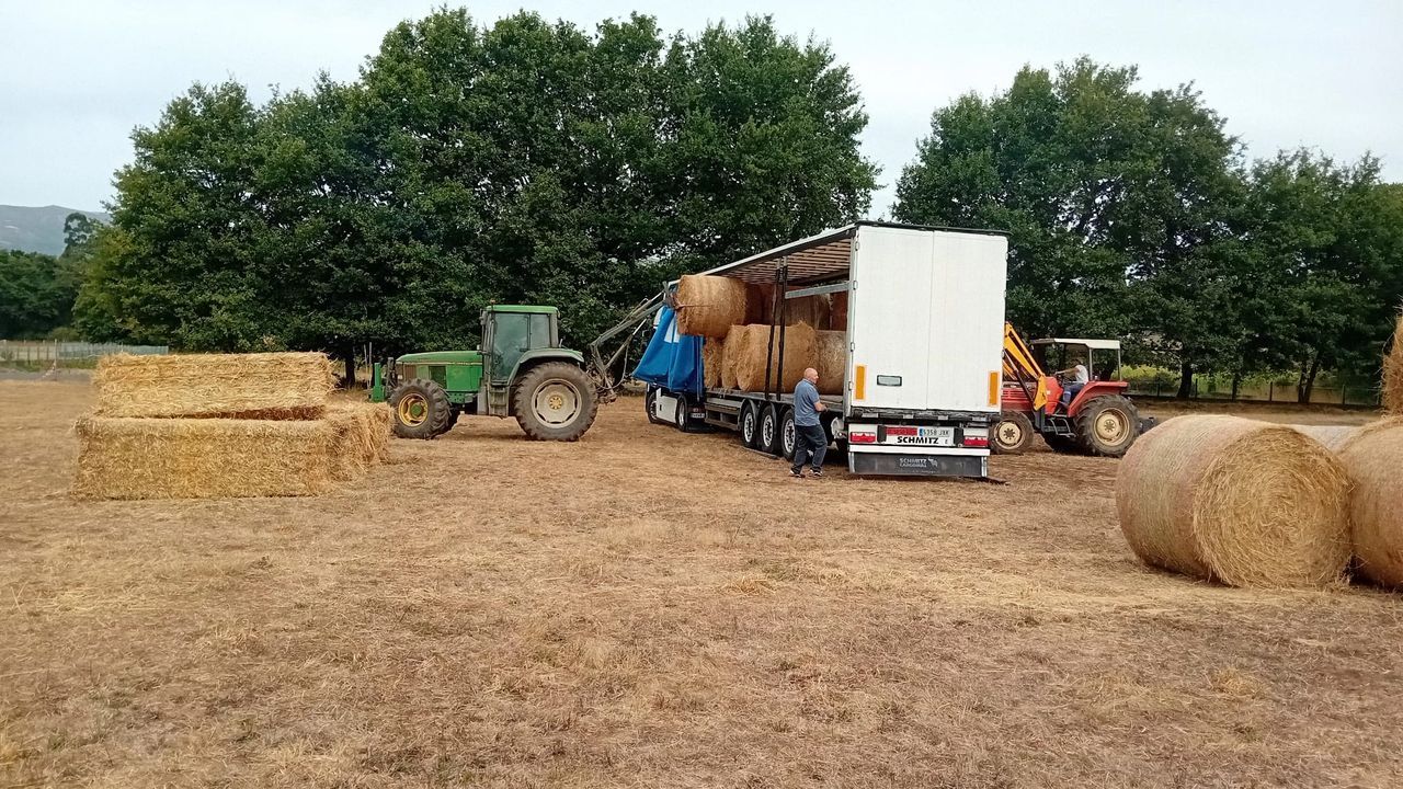 El rural de Lalín se vuelca con los ganaderos afectados por el fuego