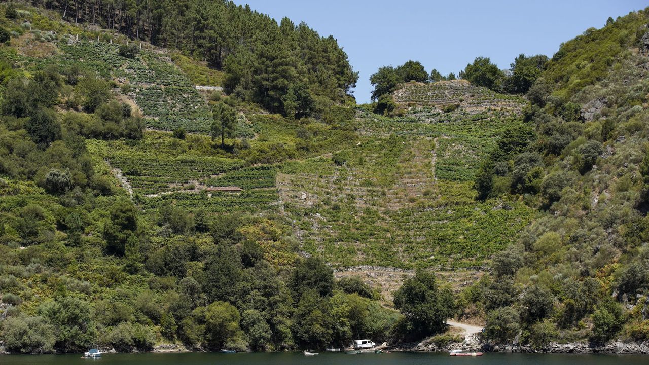 Cinco rutas para descubrir la Ribeira Sacra que solo se conoce a pie