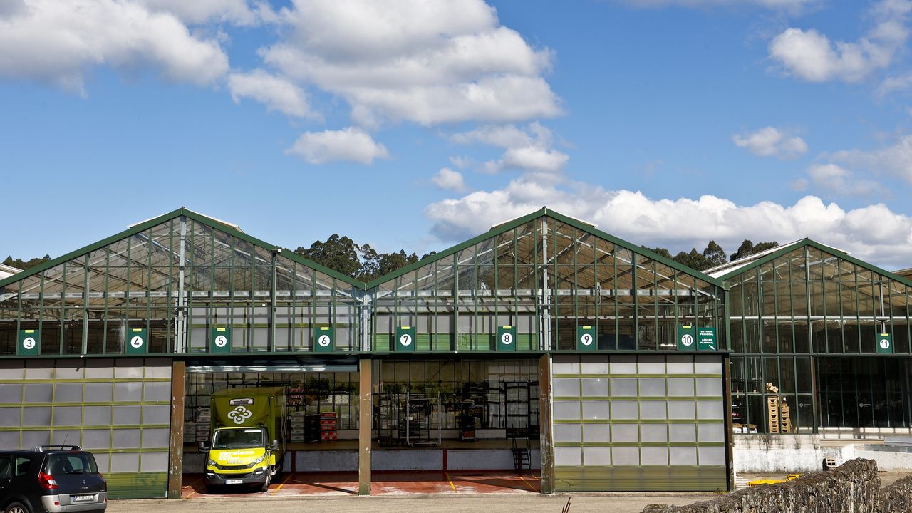 La empresa líder del sector de las plantas en Galicia compra Flores ...