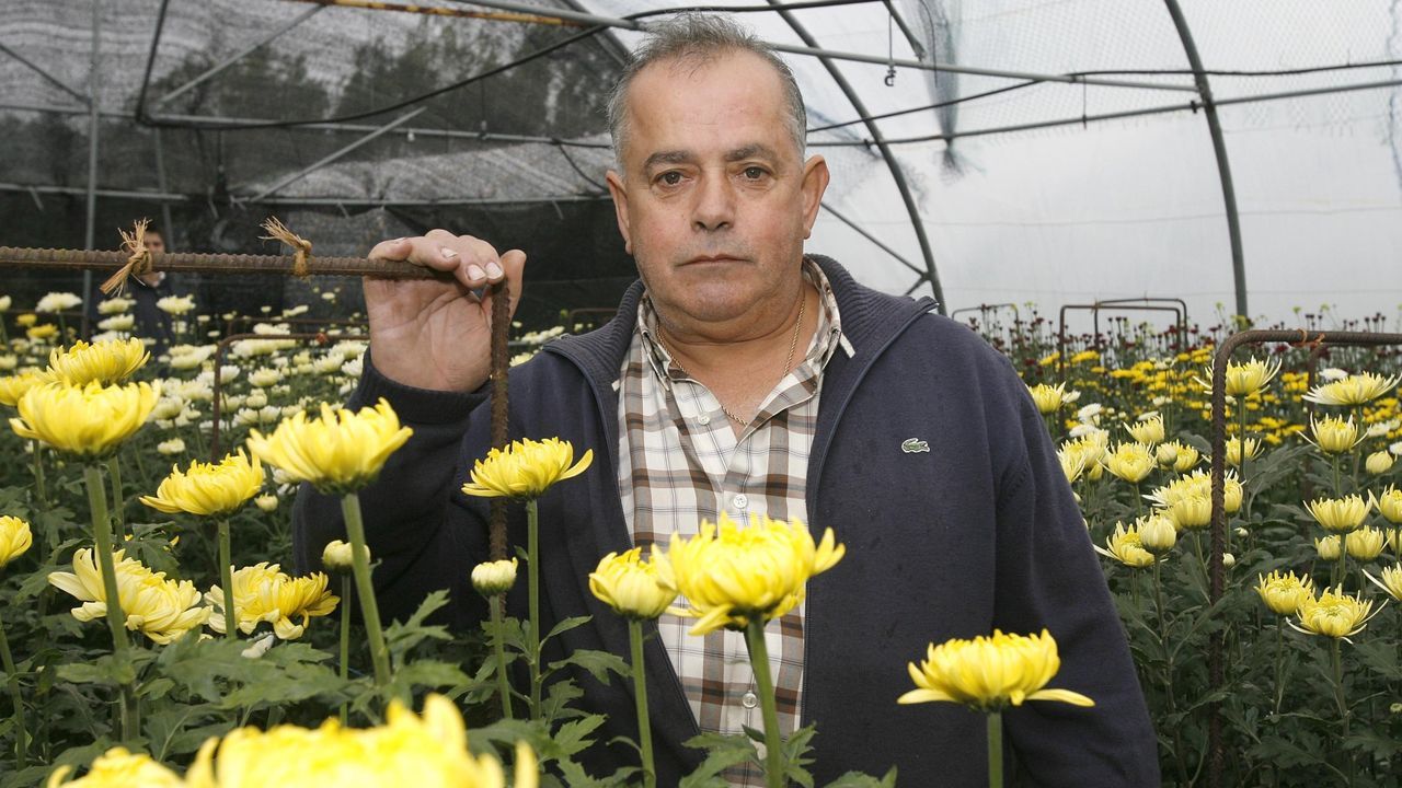 José Bras, el pintor que dejó inacabado el retrato de su hijo muerto en un accidente de tráfico