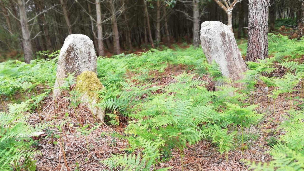 Dolmen das Ripas, la desconocida joya megalítica de Malpica