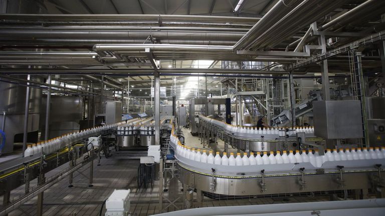 Lence entra en la nutrición clínica e invierte en Anutmed Pharma