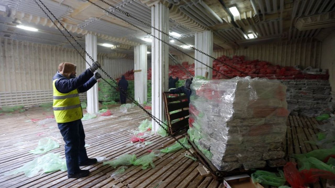 Marfrío acude a la cita del congelado en Conxemar con sus «fish and ...