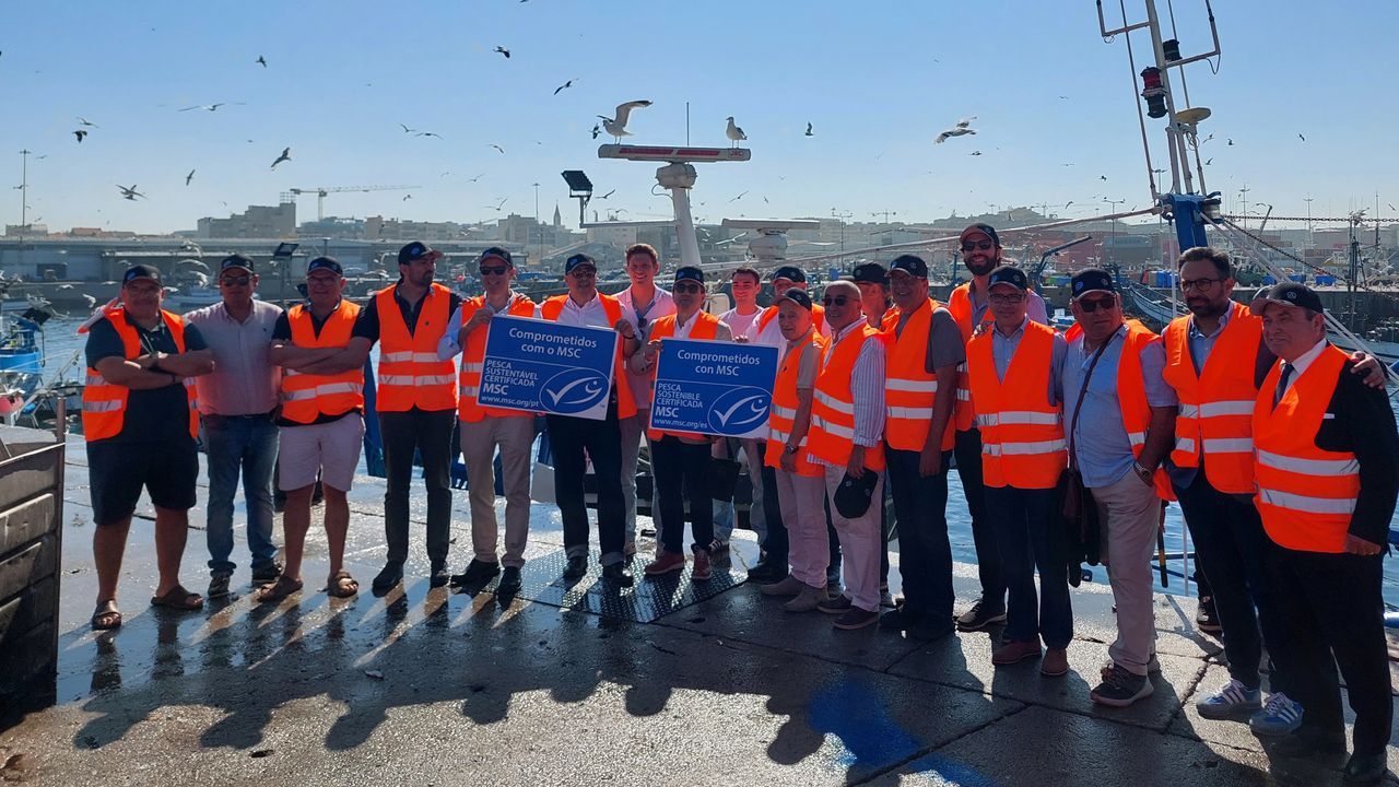 El sello azul de MSC abre la puerta a nuevos mercados para la sardina ...