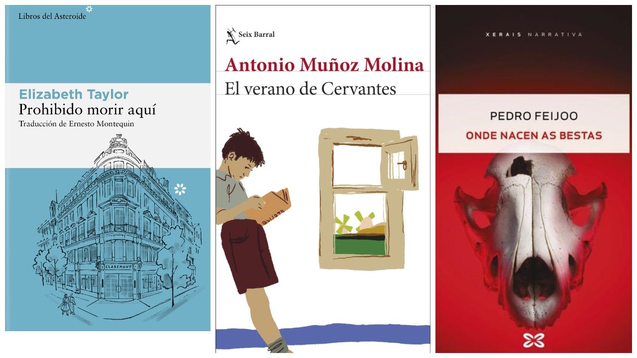 ¿Cuál de ellos será el libro del verano en Galicia?