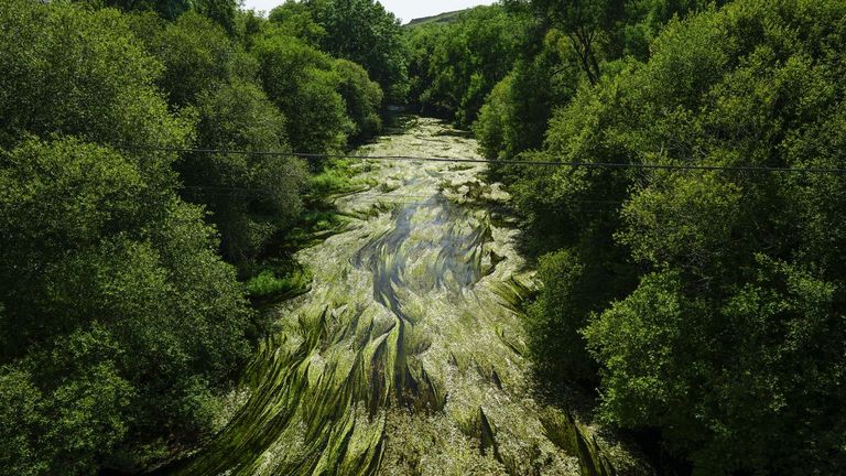 El río Limia: vida e historia en peligro