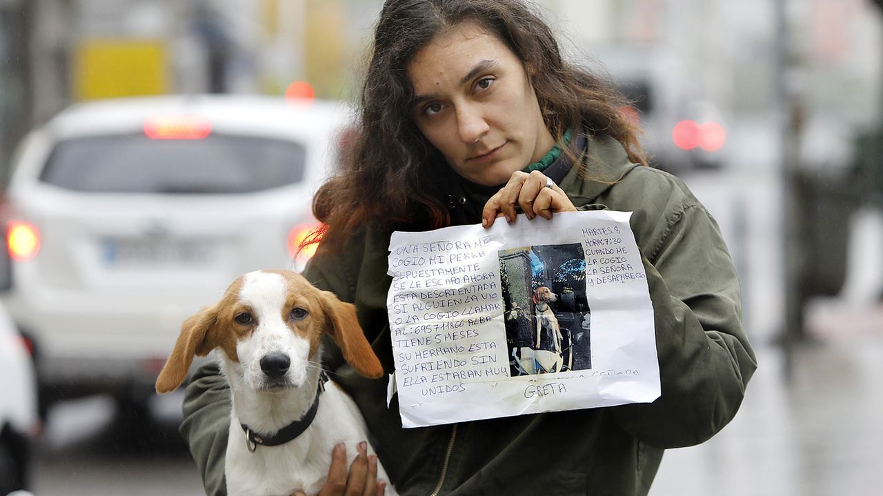 «Mi perro Coco está muy deprimido porque se llevaron a su hermanita»