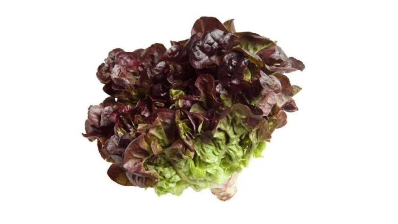 ¿Lechuga, espinacas o rúcula? Por qué es importante acertar con el ...