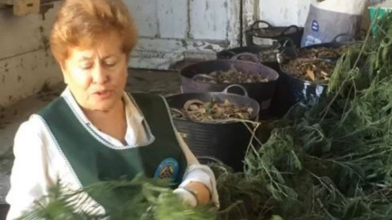 Adiós a «Chola», la mujer que tiñó de flores las alfombras de Ponteareas