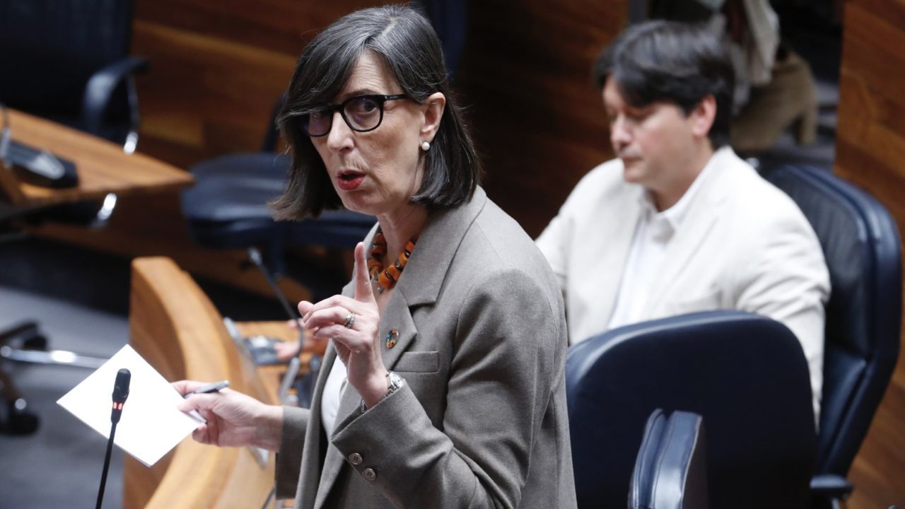 El Principado califica de «irrenunciable» la planta de reducción ...